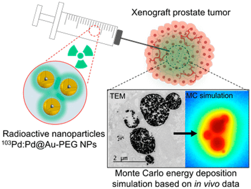Intratumoral Injection of Low-Energy Photon-Emitting Gold Nanoparticles: A Microdosimetric Monte ...