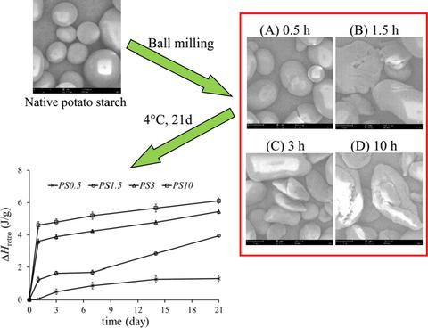 Retrogradation of partially gelatinised potato starch prepared by ball ...