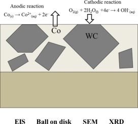 Corrosion behavior of WC-Co coatings deposited by cold gas spray onto ...