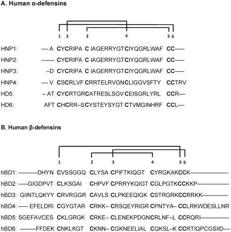 Multifaceted immune functions of human defensins and underlying ...