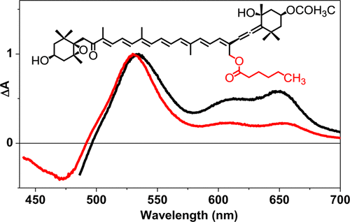 Nonconjugated Acyloxy Group Deactivates the Intramolecular Charge ...