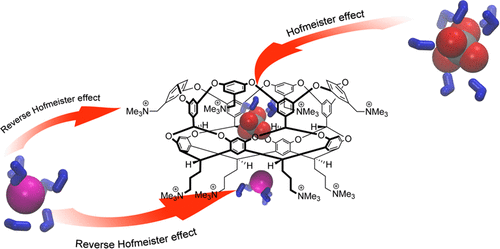 Ion–Hydrocarbon and/or Ion–Ion Interactions: Direct and Reverse ...
