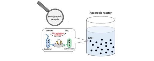 Metagenomic insight into methanogenic reactors promoting direct ...