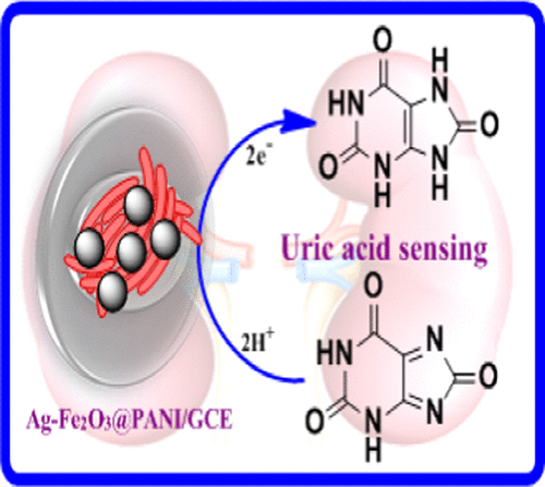 New Electrochemical Sensor Based on a Silver-Doped Iron Oxide ...