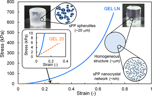 Mechanically Tough Syndiotactic Polypropylene (sPP) Gels Realized by ...