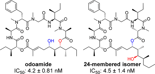 Structure–Activity Relationship Study on Odoamide: Insights into the ...