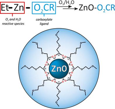 Safe‐by‐Design Ligand‐Coated ZnO Nanocrystals Engineered by an Organometallic Approach: Unique ...