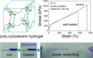 Self-Healable Tough Supramolecular Hydrogels Crosslinked by Poly-Cyclodextrin through Host-Guest ...