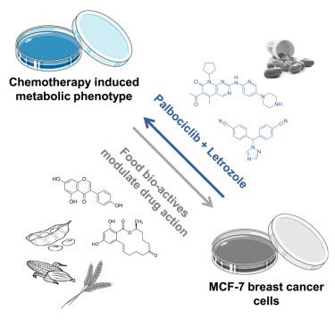 Metabolomics Reveals that Dietary Xenoestrogens Alter Cellular Metabolism Induced by Palbociclib ...