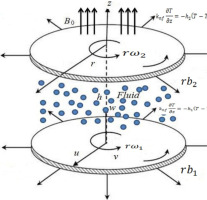Influence of magnetic field and thermal radiation on convective flow of SWCNTs-water and MWCNTs ...