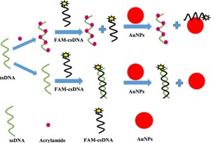 Fluorescence quenching biosensor for acrylamide detection in food ...