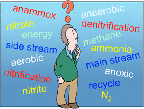 What is the Best Biological Process for Nitrogen Removal: When and Why ...
