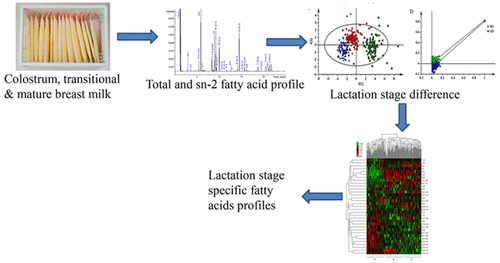 Fatty Acid Profile and the sn-2 Position Distribution in ...