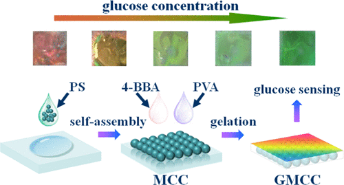 2D Photonic Crystal Hydrogel Sensor for Tear Glucose Monitoring,ACS ...