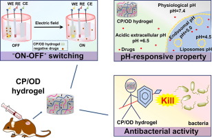 Injectable antibacterial conductive hydrogels with dual response to an ...