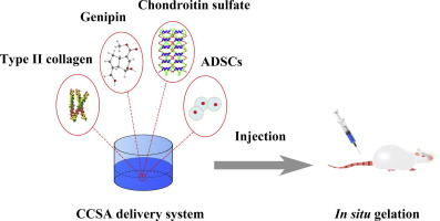 Genipin cross-linked type II collagen/chondroitin sulfate composite ...