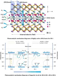 Controlling dominantly reactive (010) facets and impurity level by in ...