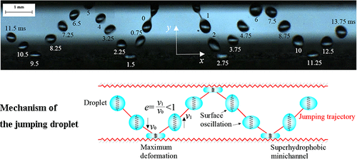 Multiple Bounces and Oscillatory Movement of a Microdroplet in ...