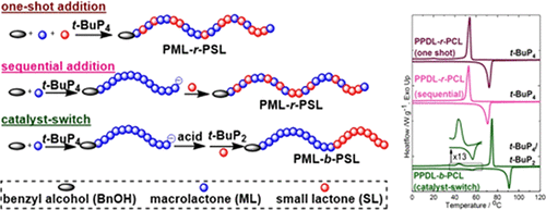 Block Copolymers of Macrolactones/Small Lactones by a “Catalyst-Switch ...