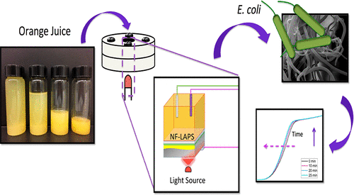 Portable Nanofiber-Light Addressable Potentiometric Sensor for Rapid ...