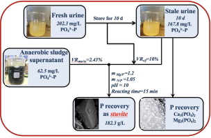 Struvite precipitation from anaerobic sludge supernatant and mixed ...