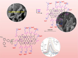 Silver-choline chloride modified graphene oxide: novel nano ...