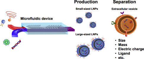 Advances in microfluidics for lipid nanoparticles and extracellular ...