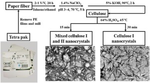 Cellulose I and II nanocrystals produced by sulfuric acid hydrolysis of ...