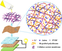 Dendrite-free Li metal deposition in all-solid-state lithium sulfur ...