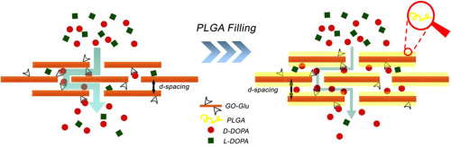 Role of Filled P L GA in Improving Enantioselectivity of Glu-GO/P L GA ...
