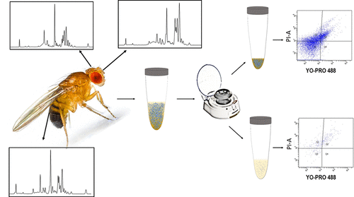 Impact of Sampling and Cellular Separation on Amino Acid Determinations ...
