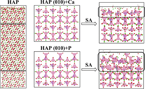 Molecular Dynamics Exploration of Ordered-to-Disordered Surface ...