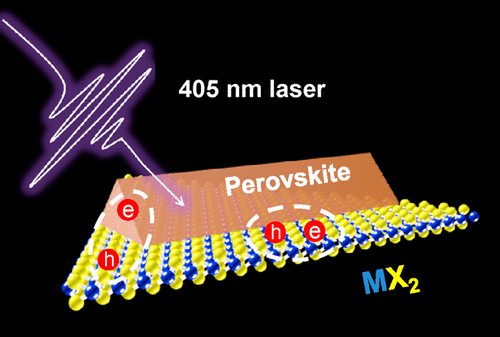 Ultrafast Charge Transfer in Perovskite Nanowire/2D Transition Metal Dichalcogenide ...