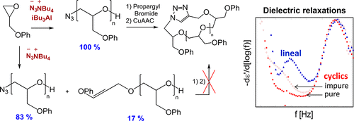 An Insight into the Anionic Ring-Opening Polymerization with ...