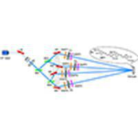 Photoalignment-induced two-dimensional liquid crystal polarization ...