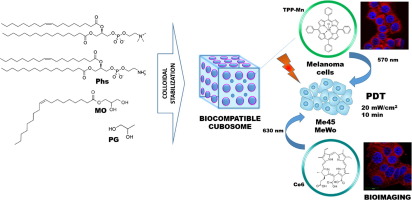 Polymer-free cubosomes for simultaneous bioimaging and photodynamic ...