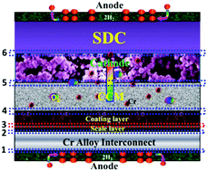 Systematic effect of contaminations on IT-SOFCs cathode stability: a ...