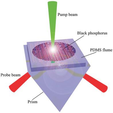 Visualizing Photothermal Anisotropy in Black Phosphorus by Total ...