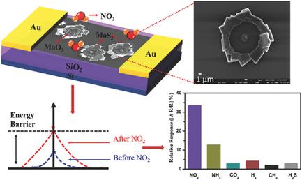 Growth of MoS2–MoO3 Hybrid Microflowers via Controlled Vapor Transport ...