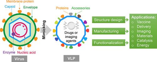 Virus‐Like Particle Engineering: From Rational Design to Versatile ...