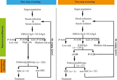 Establishment and validation of a two‐step screening scheme for ...