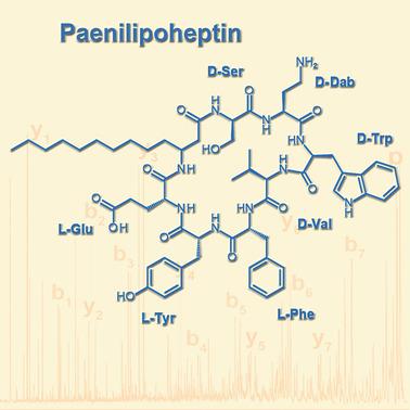 质谱结合多粘芽孢杆菌E681脂肽生物合成的基因组挖掘：脂肽肽Paenilipoheptin的发现,ChemBioChem - X-MOL