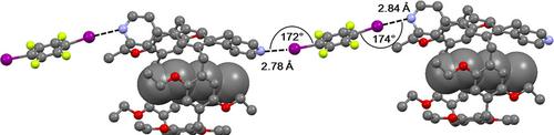 Formation of Linear Side‐Chain Polypseudorotaxane with Supramolecular Polymer Backbone through ...
