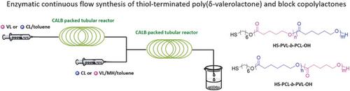 Enzymatic Continuous Flow Synthesis of Thiol‐Terminated Poly(δ ...