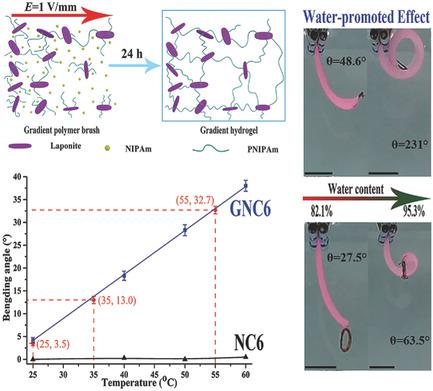 A Fast, Reversible, and Robust Gradient Nanocomposite Hydrogel Actuator ...