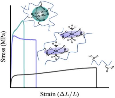 通过控制金属配体的交联来调节金属聚合物的机械性能,Journal of Polymer Science Part A: Polymer ...