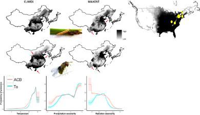 Assessing the current and future biological control potential of ...