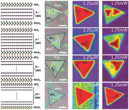 Determining the Optimized Interlayer Separation Distance in Vertical Stacked 2D WS2:hBN:MoS2 ...