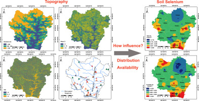 Effects of topography and soil properties on soil selenium distribution ...