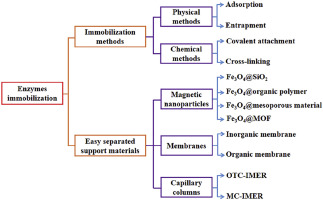 Advances on methods and easy separated support materials for enzymes ...
